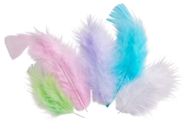 Plumes décoratives - Accessoires loisirs créatifs : fournitures pour ...